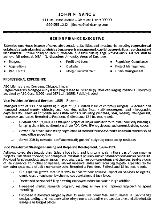 Executive Resume Example As Writing Guidelines