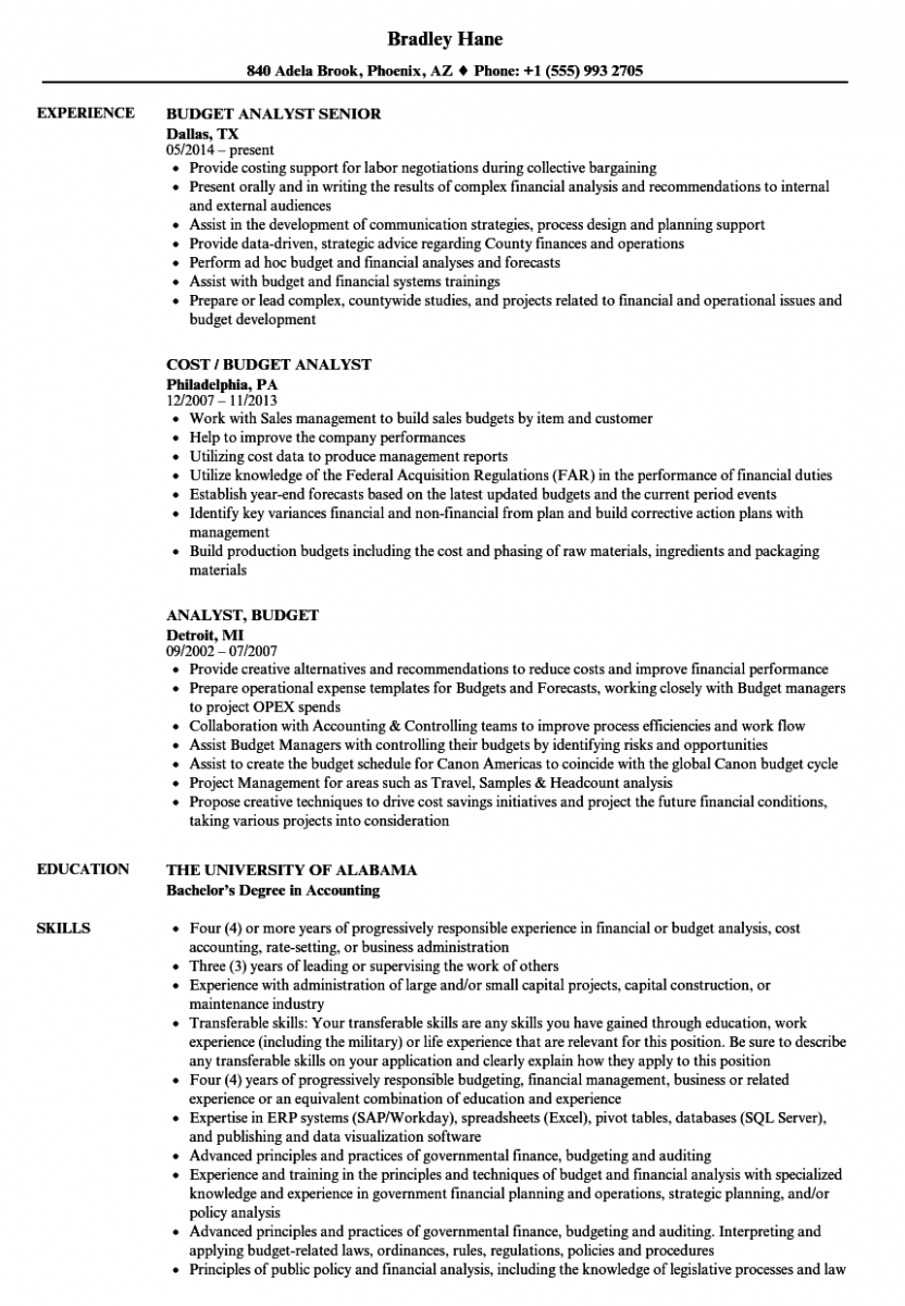 Budget Analyst Resume