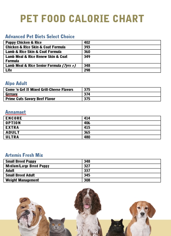 10 Food Calorie List Printable